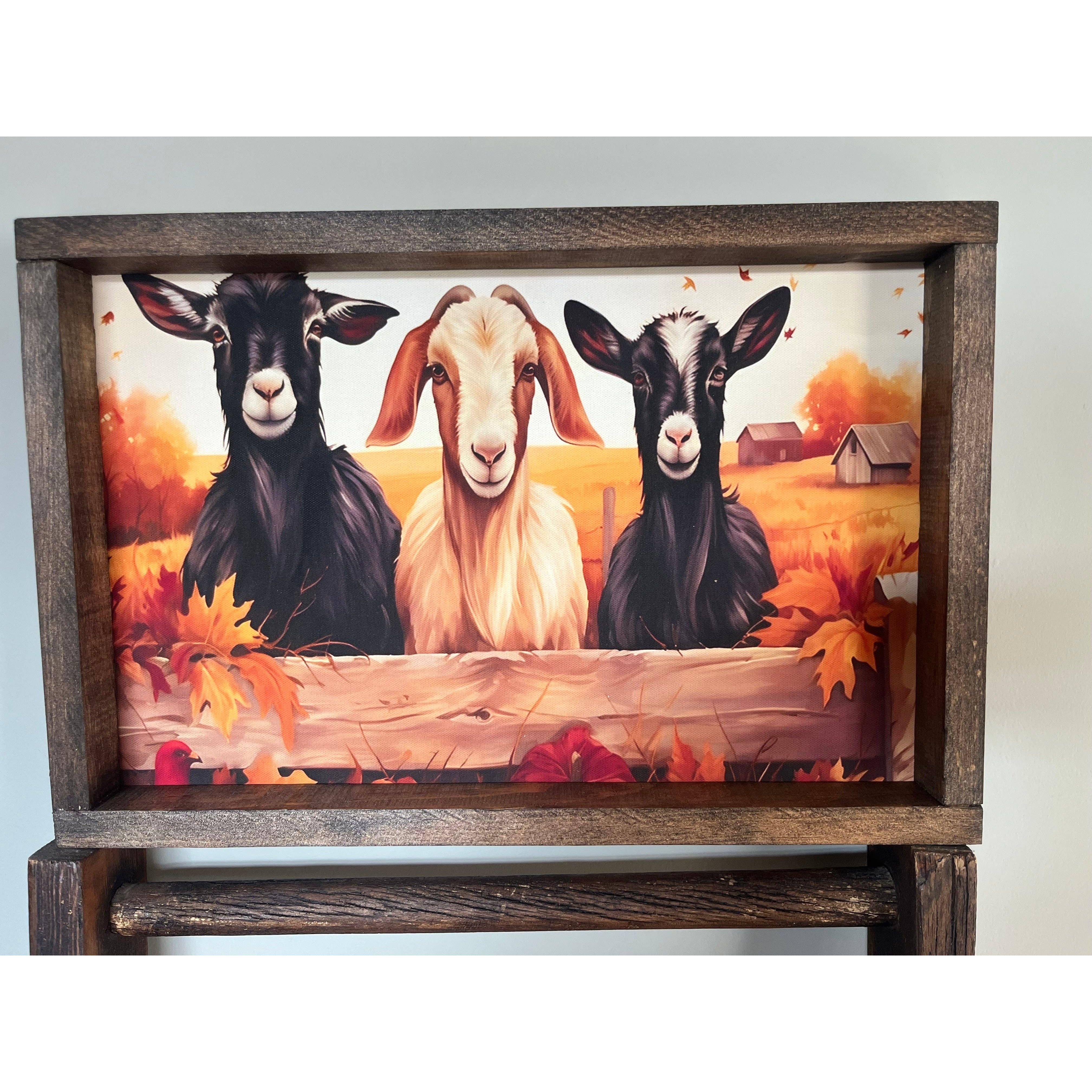Fall Goats – Ranchmans Farm & Feed Store
