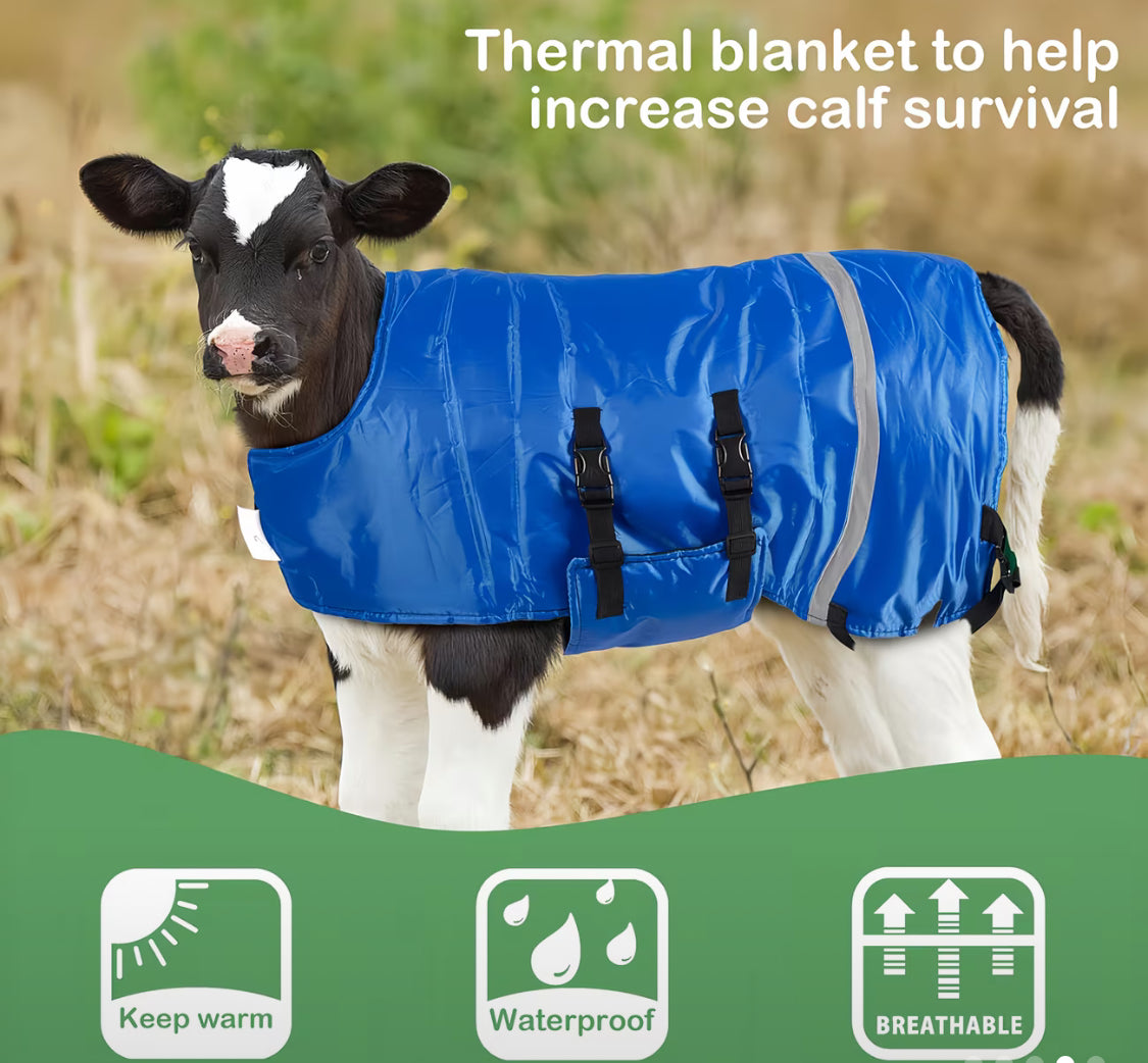Calf Thermal Blanket – Ranchmans Farm & Feed Store