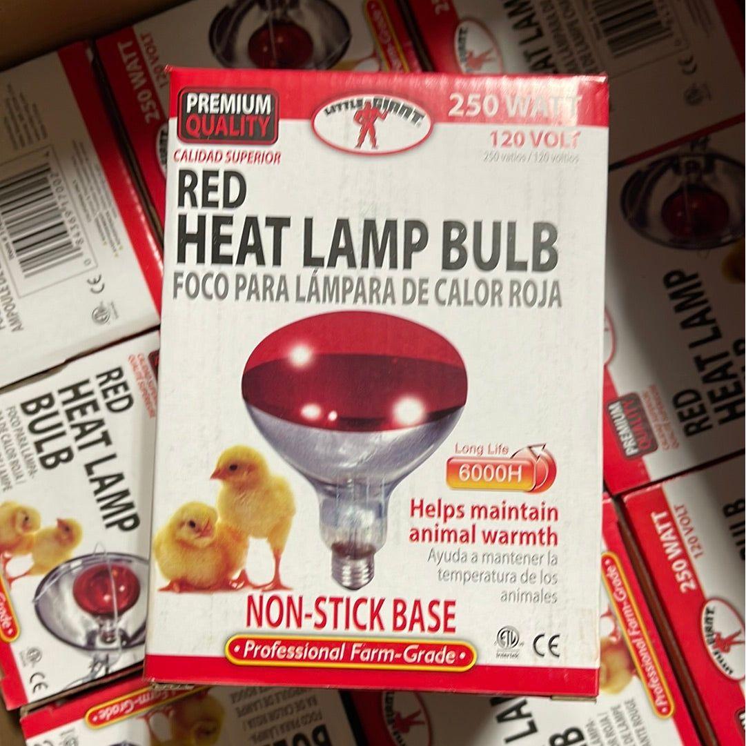 Little Giant Red Heat Bulb 250watt – Ranchmans Farm & Feed Store